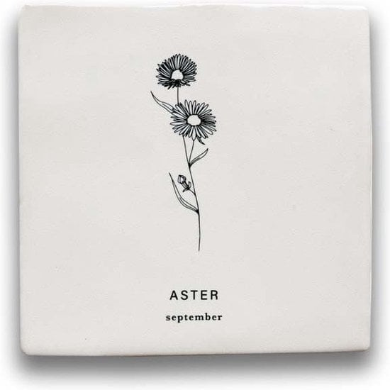 Geboortebloem Cadeau | Leukstebabycadeaus.nl